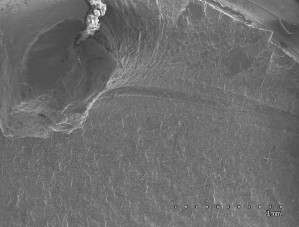 SEM Scanning Electron Microscopy - SGS North America Inc.